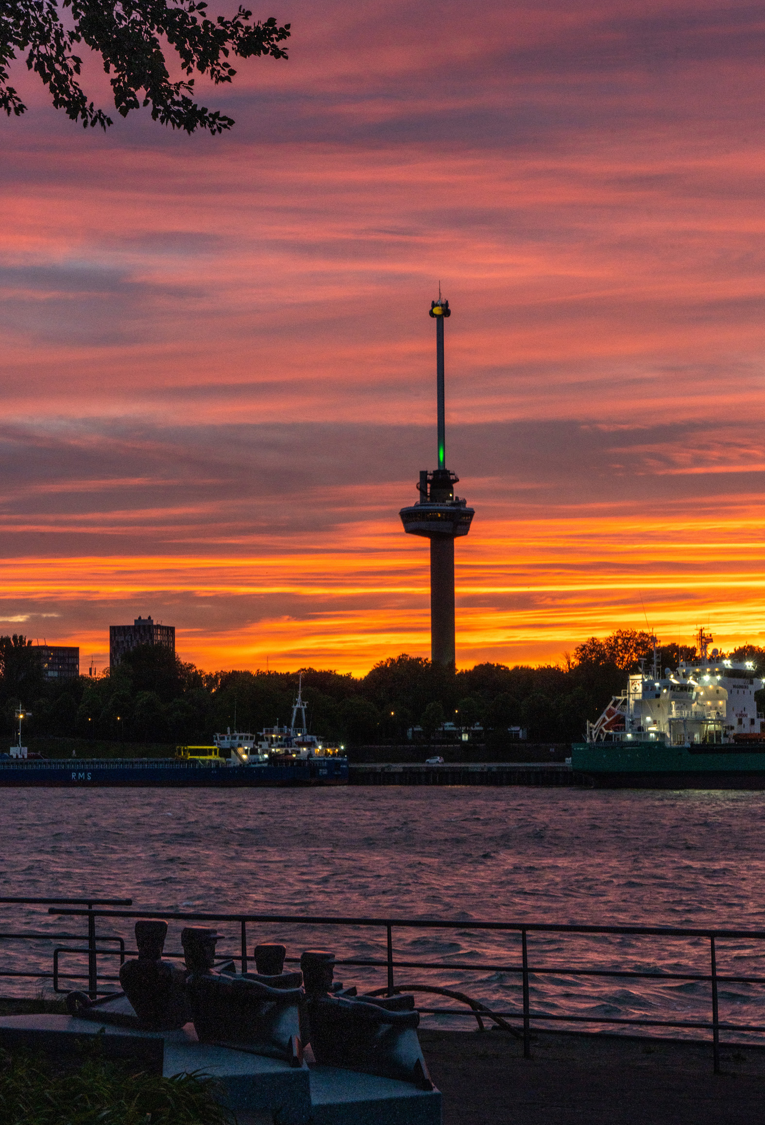 The city of Rotterdam in color