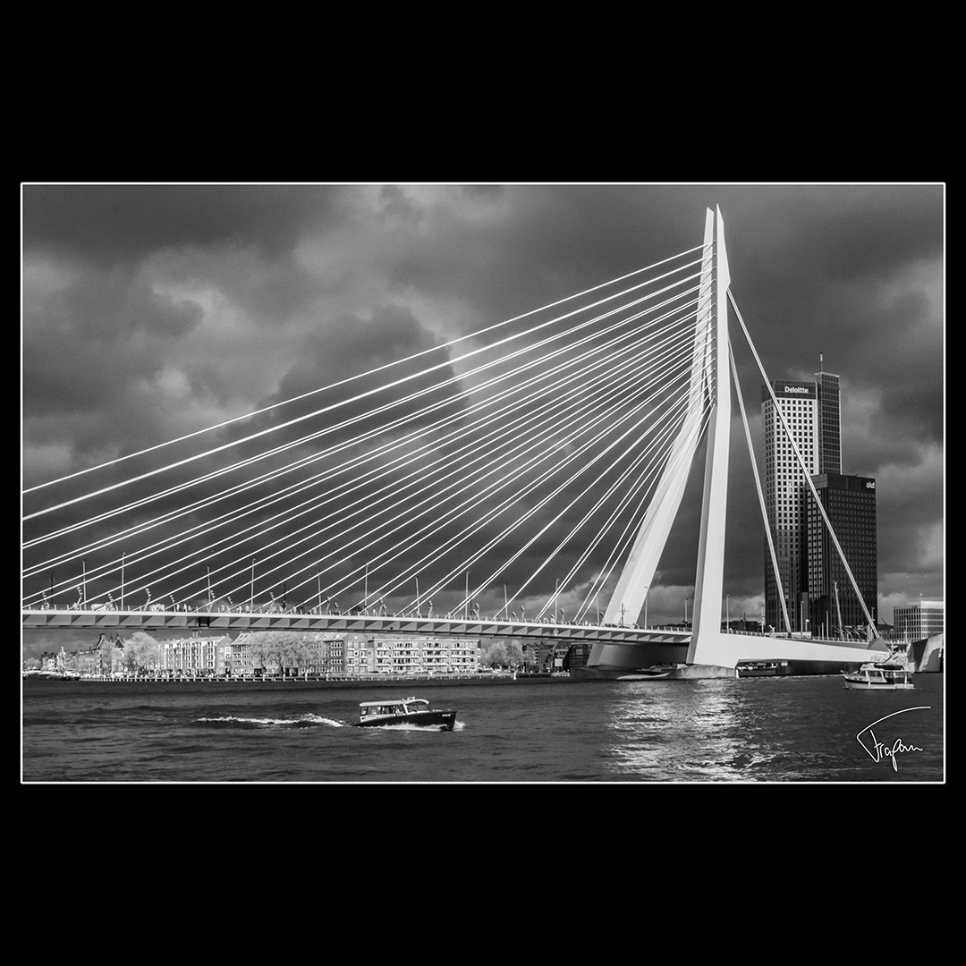 Erasmus Bridge