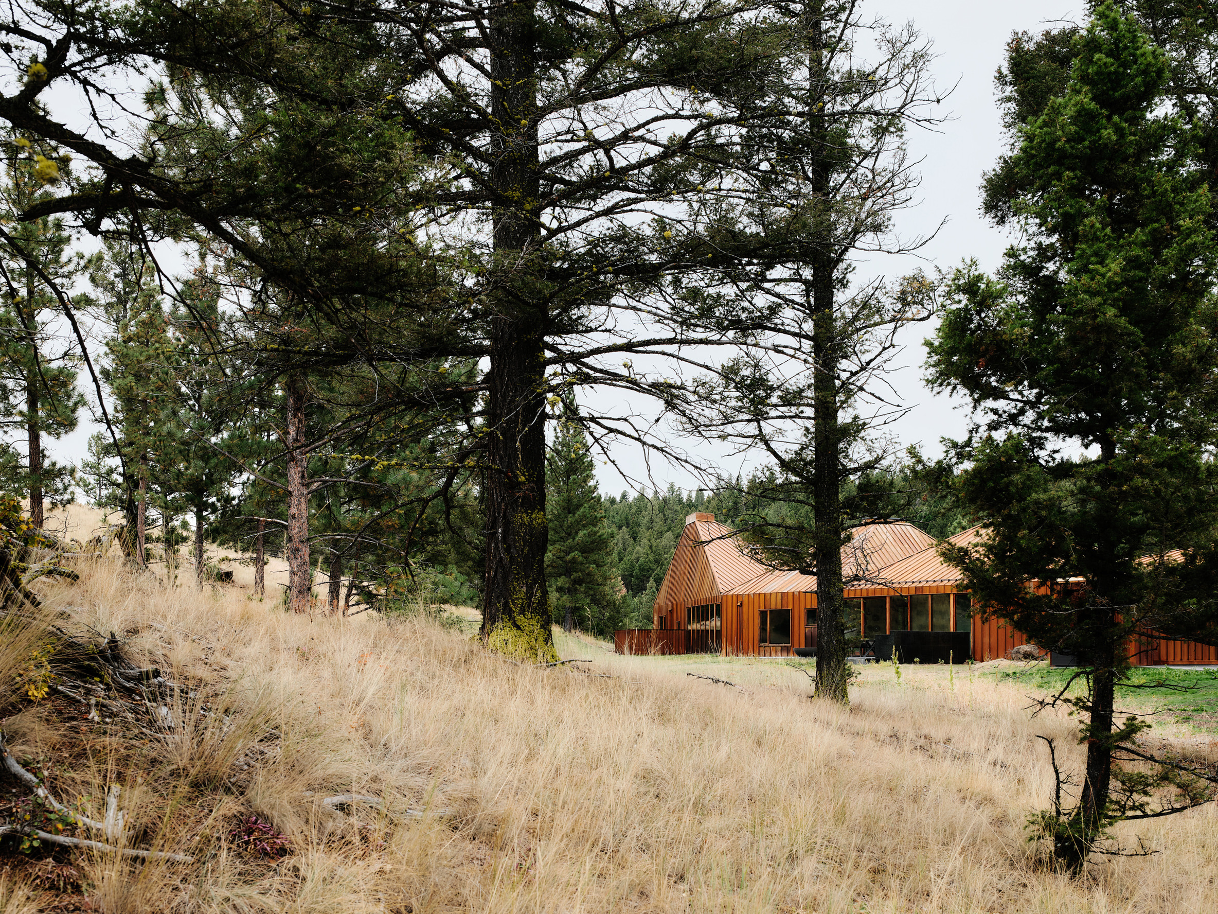 4 Roof House | T.W.Ryan Architecture