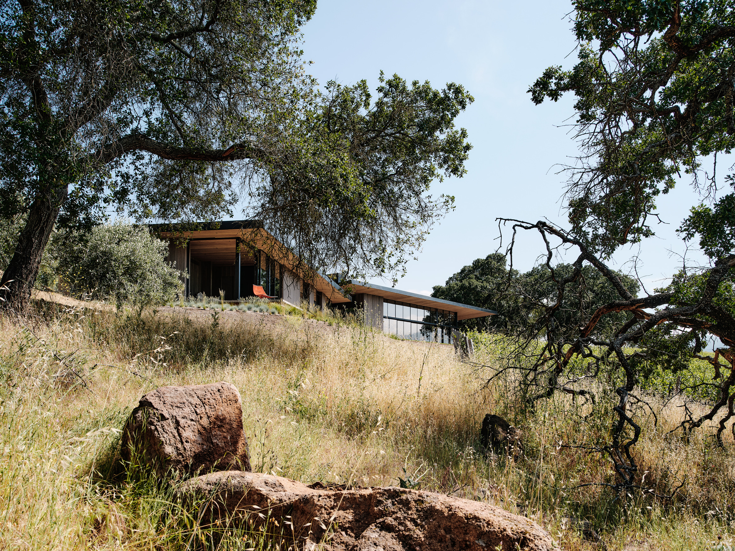 12 Moons House | Field Architecture