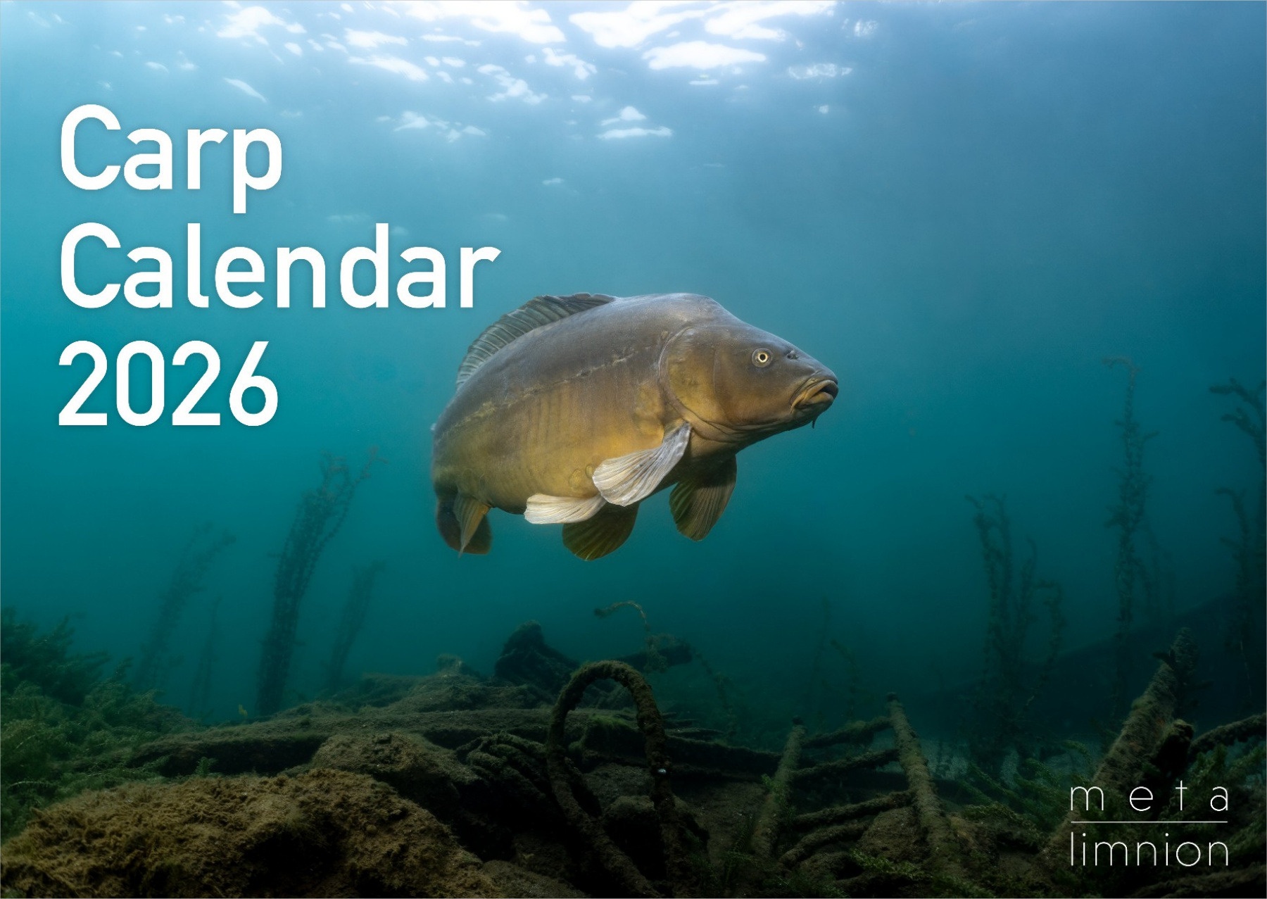 Get your fish Calendar for 2026