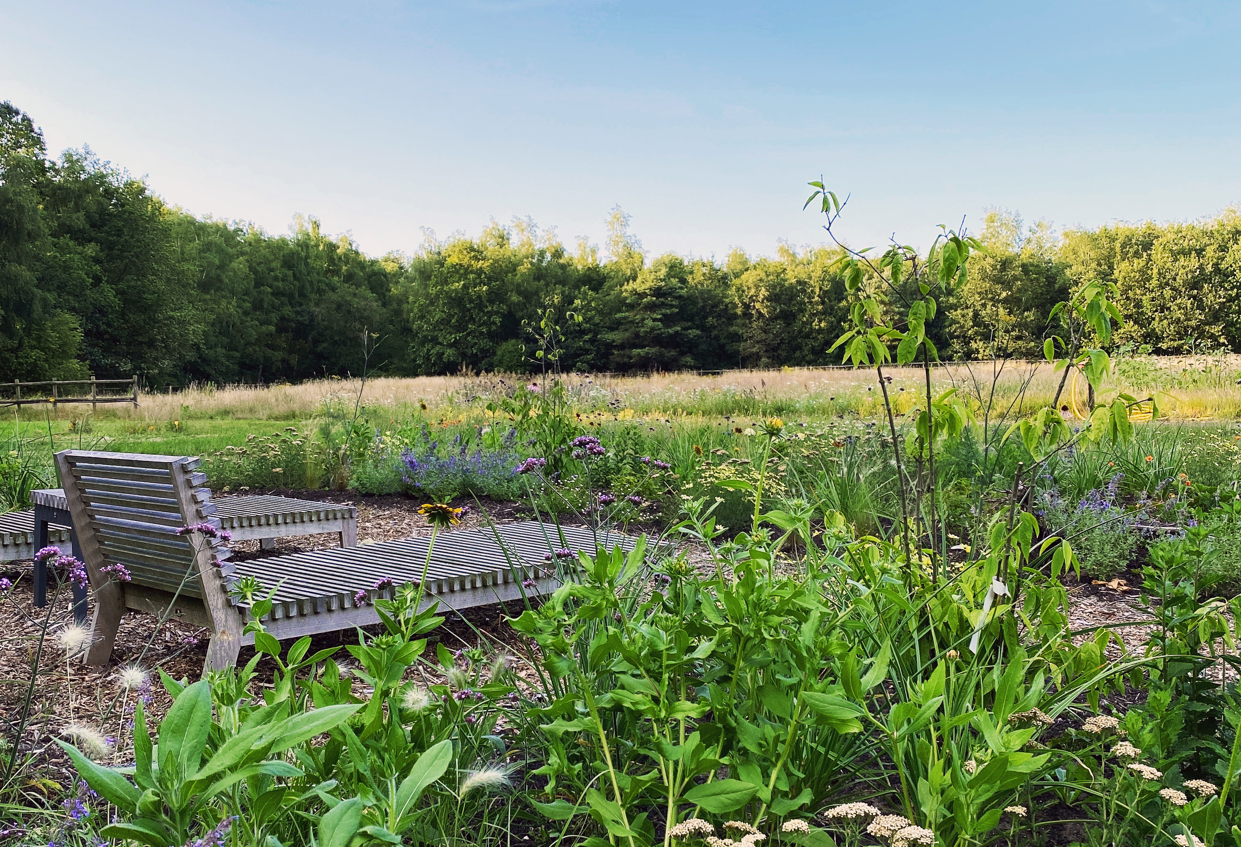 grond|vorm : landscape lab